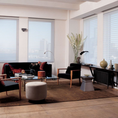 Listing posts for 2026 | Burns for Blinds